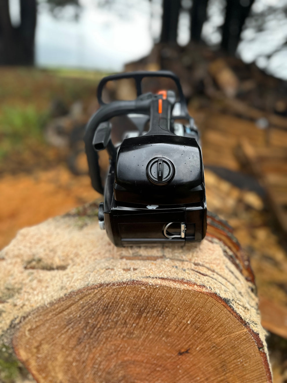 Ported MS201t – C&S Custom Saws Ltd